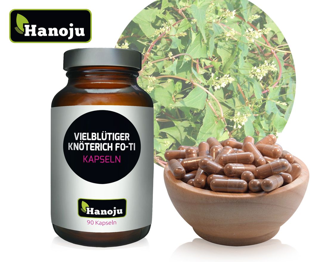 Fo-Ti Multi-flowered Knotweed 400 mg, 90 Capsules – Hanoju Deutschland GmbH
